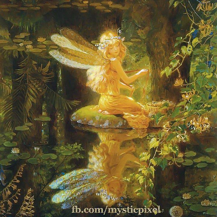 LOVE VIBRATION - Dr Pallavi Kwatra